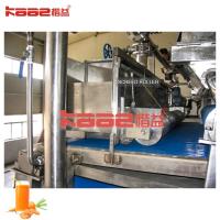 China Fruit Apple Juice Processing Equipment Juice Mixing Production Line for sale