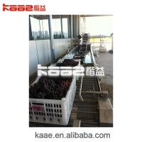 China Turnkey SUS304 Pomegranate Juice Extraction Machine Concentrated Juice Processing Line for sale