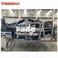 China Mulberry Concentrated Juice Processing Line Fully Automatic Machine for sale