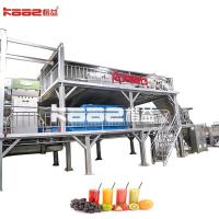 China Factory Hot Sale Fruit Juice Machine Machine Orange Juice Concentration Line for sale