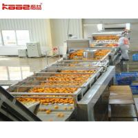 China 0.5 - 60tons/Hr Orange Lemon Sacs NFC Juice Processing Line Industrial Juice Press for sale