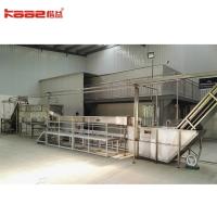 China 120T/H Mango Pulp Mango Processing Line Fruit Puree Production Line for sale