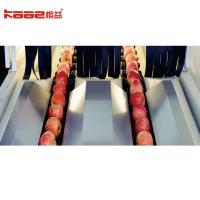 China Citrus pear Orange Juice SUS304 Automatic Fruit Sorting Machine adopting computer vision for sale
