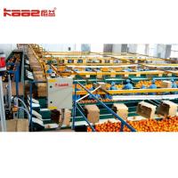 China Citrus pear Orange Juice SUS304 Automatic Fruit Sorting Machine adopting computer vision for sale