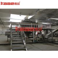 China Stainless Steel Berry Juicer Processing Line Juice Extractor Machine for sale