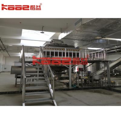 China Stainless Steel Berry Juicer Processing Line Juice Extractor Machine for sale