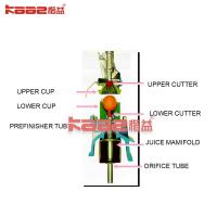 China Cup-type of juice extractor for NFC orange juice and concentrated juice for sale