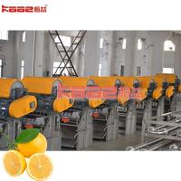 China Cup Pressing Cup-Type Of Juice Extractor Automatic Cleaning Streamlined Design for sale