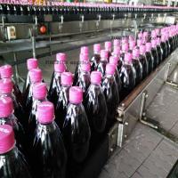 China automatic Beverage Carbonization Equipment food grade ce certification for sale