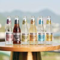China 18000BPH Tonic Water Filling Machine PET Glass Bottle Automatic Filling machine CE certification for sale