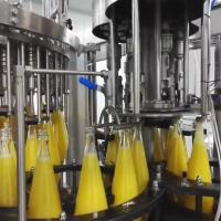 China SUS316 stainless steel full automatic 10000BPH 1500ml Mango Juice Filling Machine production lion for sale