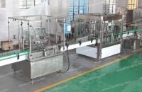 China 4000bph Water Rinsing Filling Capping Machine Glass Bottles Packaging for sale