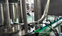 China automatic dishwashing liquid detergent plastic bottle filling capping machine for sale