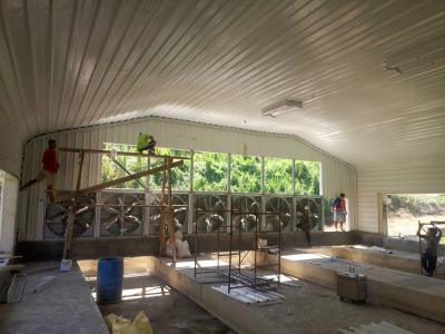 China Prefab Galvanized Steel Structure Poultry House - 3-25m Clear Span, Hot-Dip Galvanized Frame for Chicken Farming for sale