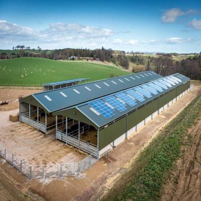 China Painted Steel Structure Poultry House 3-25m Clear Span with Sandwich Panel Roofing ASTM DIN GB JIS Standards for sale