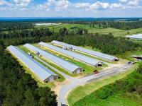China Prefab Steel Structure Poultry House 3-25m Clear Span with Galvanized Fireproof Construction for sale