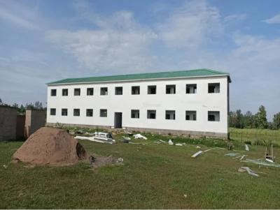 China School Steel Frame Buildings Blast / Painted / Galvanized Surface Finished Customized Design for sale