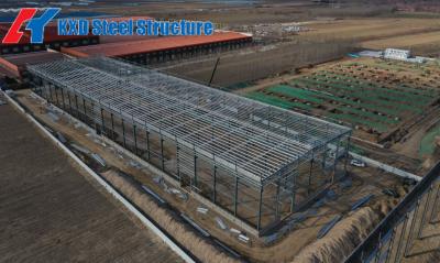 China Engineer Guidance On Site Iron Steel Structure Building Construction Single Slop Method for sale