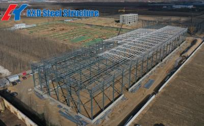 China Bim Drawing Steel Structure Warehouse Customization Custom Modular Steel Frame Storage Building Strong Durable Structure for sale