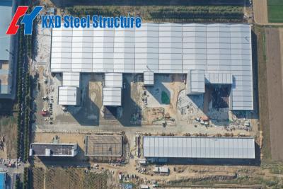 China Prefabricated Steel Structure Warehouse 20-50 Year Lifespan PVC Coated Sail Finishing Aluminum Window for sale