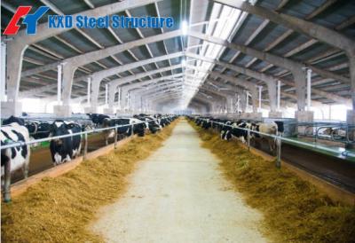 China Prefabricated Steel Structure Warehouse Portal Frame PVDF Coated 5000 SQM Industrial Building for sale