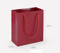 China PP Handle White Jewelry Paper Bag Foil Stamping 200g Art Paper Custom Size for sale