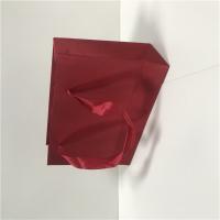 China Custom Satin Surface Jewelry Paper Bags with Embossing Debossing PMS 100pcs MOQ for sale