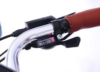 China 36V 250W Rear Motor Ebike City Bike Aluminum Alloy With Tektro Disc Brake for sale