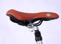 China 36V 250W Rear Motor Ebike City Bike Aluminum Alloy With Tektro Disc Brake for sale