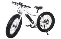 China 6061 Aluminum Electric Assist Mountain Bike 48V 750W High Power for sale