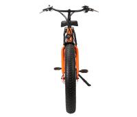 China 45km/h Electric Fat Tire Bike Aluminum Alloy 48V 750W Rear Hub Motor for sale