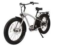 China 48V 250W/350W Electric City Bicycle electric beach cruiser bicycle With Removable Battery for sale