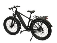 China 750w 28km/h High Speed Ebike , 26inch Fat Electric Mountain Bike for sale