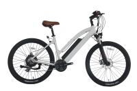 China 250w/500w Female Electric Bike , 26