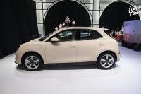 China Ora Good Cat EV 5 Doors 5 Seats Adult Mini Electric Car 25 Mph for sale