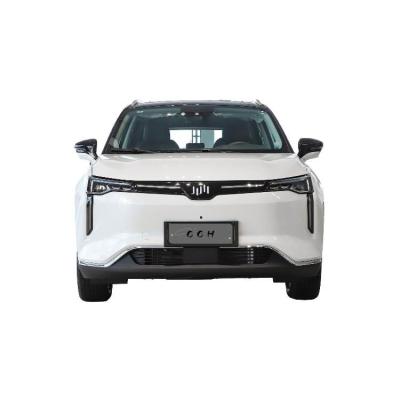 China 218 Hp WM Motor W6 Left Hand Drive Lithium Battery Electric Vehicle for sale
