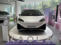 China 2024 Adult Koala Arcfox Kala MPV Cars The Perfect Combination of Style and Function for sale