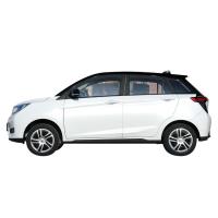 China EVH Car Energy Vehicle EV HOUSE YOUNG LIGHT XIAOXIN Pure Electric Big Sale WHEELBASE 2415 for sale