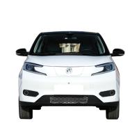 China EVH Car Energy Vehicle EV HOUSE YOUNG LIGHT XIAOXIN Pure Electric Big Sale WHEELBASE 2415 for sale
