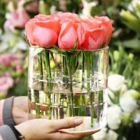 China Multifunctional Acrylic Flower Pot Non Toxic Plants Display 6.29X6.29X4.52Inch for sale