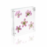 China PMMA Acrylic Photo Display Frameless Acrylic Magnetic Picture Frames For Refrigerator for sale