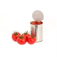 China Canned tin for Tomato Paste Easy Open Canned Tomato sauce From China Manufacturer OEM Brand by airtight metal bottle for sale