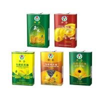 China Empty 1L Square Extra Virgin Olive Oil Tin Can Cooking Edible Oil Metal 1000ML Rectangular Sunflower Oil Jar with Plastic Lids for sale