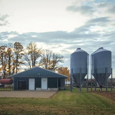 China Q235 Q345 Steel Structure Chicken House Farm Poultry Shed Construction Customized Size for sale