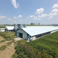 China Steel Frame Educational School Building Structure 20m x 50m x 9m Multi Classroom Construction for sale