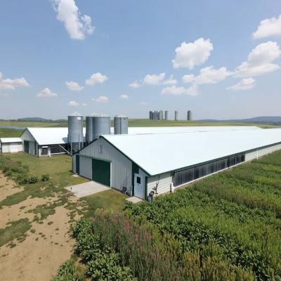 China Steel Frame Educational School Building Structure 20m x 50m x 9m Multi Classroom Construction for sale