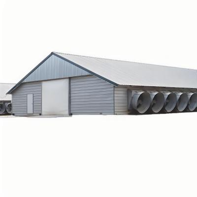 China Quick Build Light Steel Structure Shed Broiler Poultry House 6m 10m 12m Length for sale