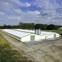 China Fully Customizable Chicken House Construction Steel Frame Farm Building ISO Standard for sale