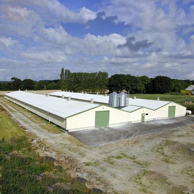 China Fully Customizable Chicken House Construction Steel Frame Farm Building ISO Standard for sale