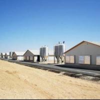 China Quick Assembly Steel Structure Poultry House Weather Resistant Metal Poultry Shed for sale
